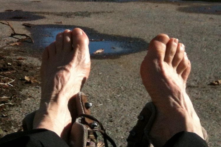 Toes in all shapes and sizes | Seeing Clarely